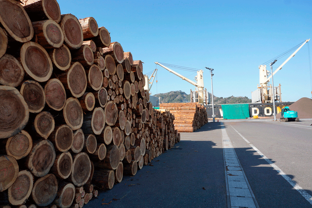 【国産材活用 最前線レポートVol.1】良い子、悪い子、普通の子 それぞれの行く末